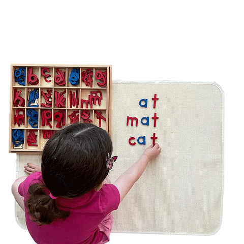 Montessori Movable Alphabet – School Mall - Educational Toys ...